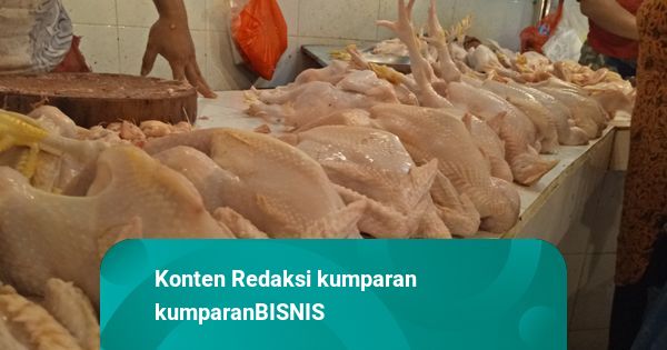 Kemendag Naikkan Harga Acuan untuk Daging Ayam dan Telur | kumparan.com
